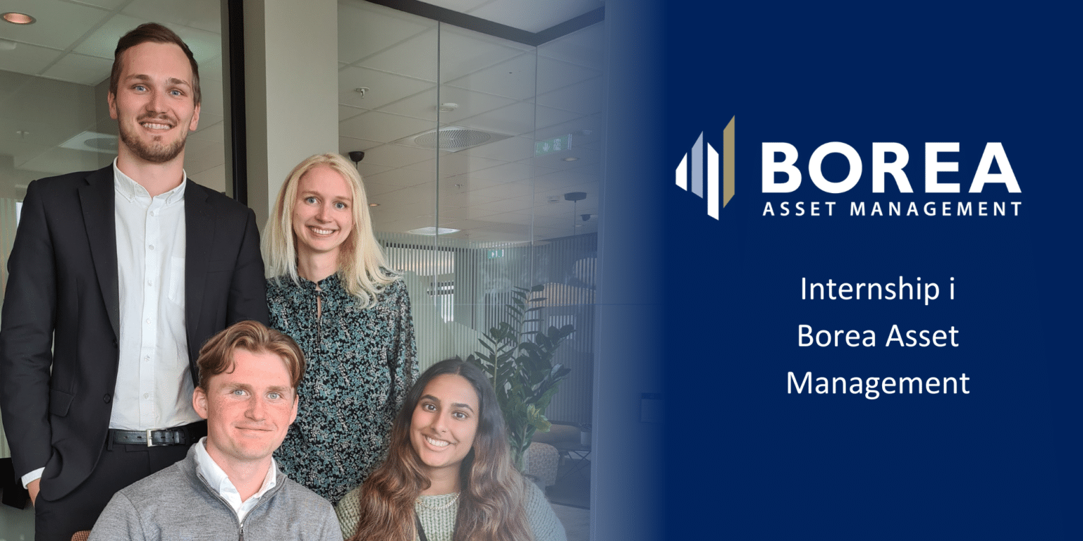 Verdifull erfaring som sommerintern - Borea